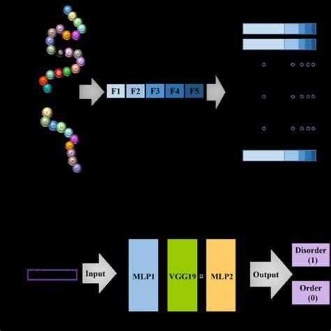 The Overall Framework For The Prediction Of Intrinsically Disordered Download Scientific