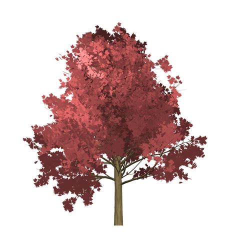 Download Maple Tree Painted Tree Royalty Free Stock Illustration