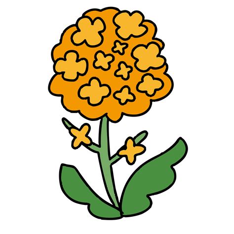 菜の花｜イラスト
