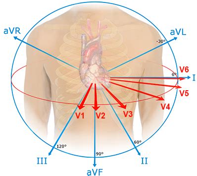 Electrical Axis Of The Heart ECG Book
