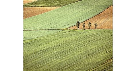 Държавните и общински имоти са значим фонд но все още не гарантират дългосрочно стопанисване на