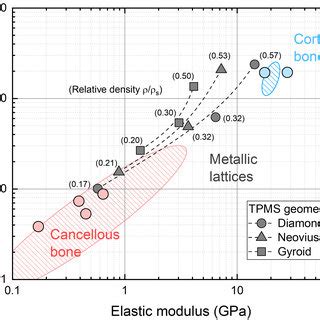 A Elastic Modulus Vs Relative Density For Each One Of The Download Scientific Diagram
