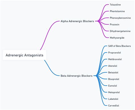 Adrenergic Antagonists Alpha And Beta Adrenergic Blokers