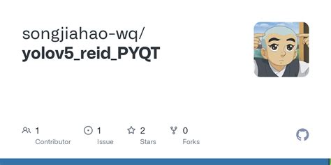 Github Songjiahao Wqyolov5reidpyqt