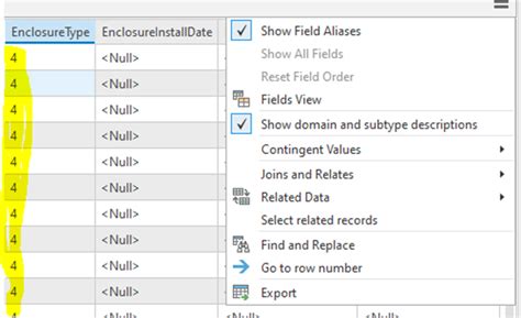 Solved Integer Field Domains Display Codes Not The Descri Esri