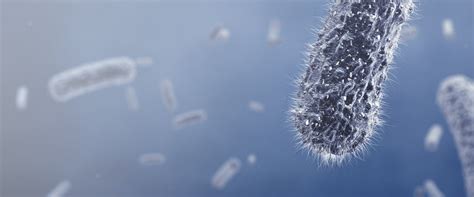 Solutions For Microbiology Vermicon Ag