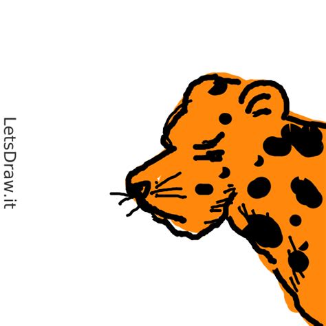 How To Draw Leopard Zuc Khngz Png LetsDrawIt