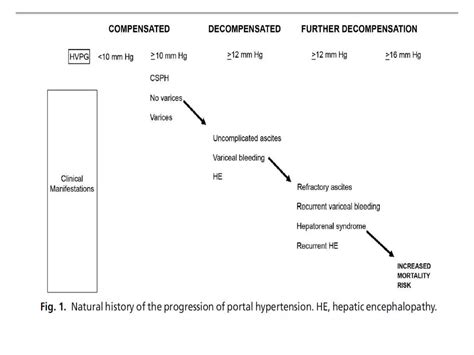 Easl Clinical Practice Guidelines For The Management Of Patients With