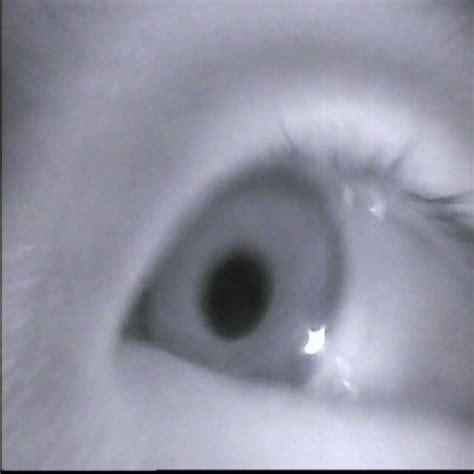 dataset pupil detection object detection model by eyetracker