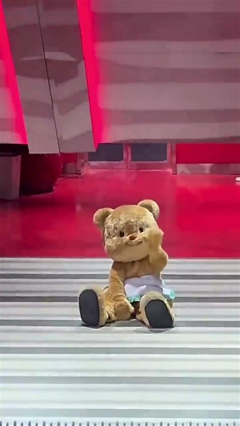 熊宝宝往那一坐，就跟个小手办似的，萌到心里了