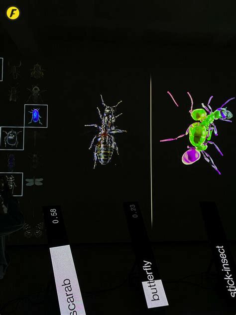 event 2024 data bugs ai is a mirror fuorisalone it