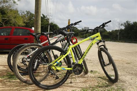 Jungle Xtreme Cenote Discovery Jungle Xtreme Cenote Discovery