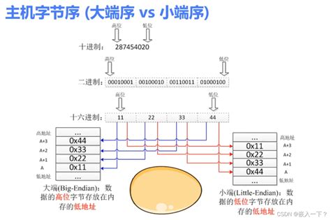 Risc V入门（基础概念汇编部分） 基于 汪辰老师的视频笔记risc V Csdn Csdn博客