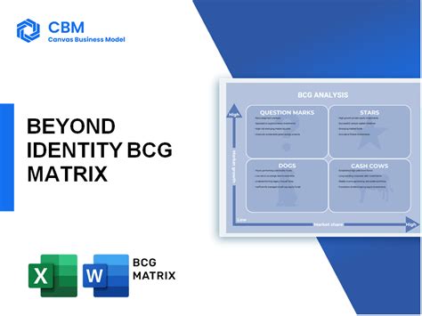 Bcg Matrix Identity Management View