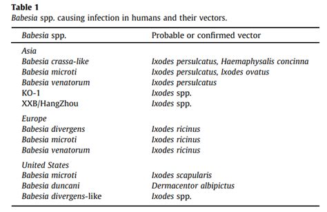 How Many Species Of Babesia Are Able To Infect Humans • The Blood Project