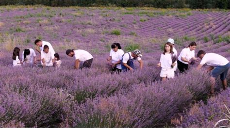 До 14 май може да се кандидатства за наградите за биологично производство на ЕС Новини