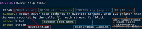 黑马redis视频教程实战篇（四）streamreadoptions Csdn博客