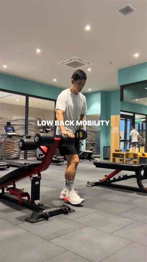 Low Back Mobility Exercises