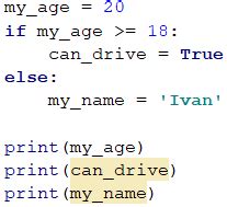 3 1 Simple Conditions Programming Basics With Python
