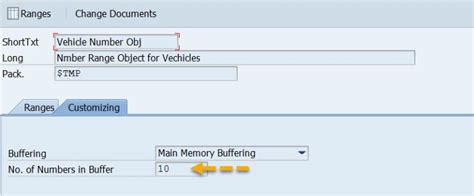 Number Range Object 2 Sapcodes