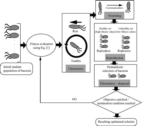 Figure 3 From Image Contrast Enhancement Using Histogram Equalization A Bacteria Colony