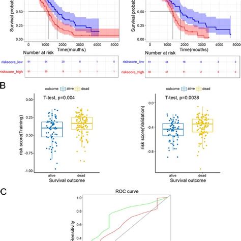 Survival Analysis And Roc Curve Of Training Set And Validation Set A