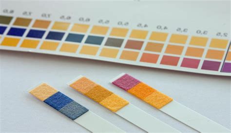 What Factors Affect The Ph Of Semen With Pictures