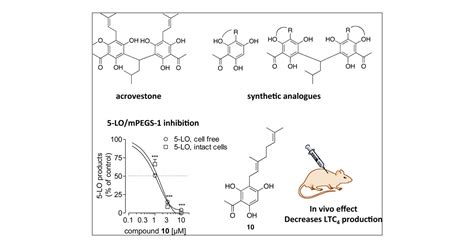 Evaluation Of Dual 5 Lipoxygenase Microsomal Prostaglandin E2 Synthase 1 Inhibitory Effect Of