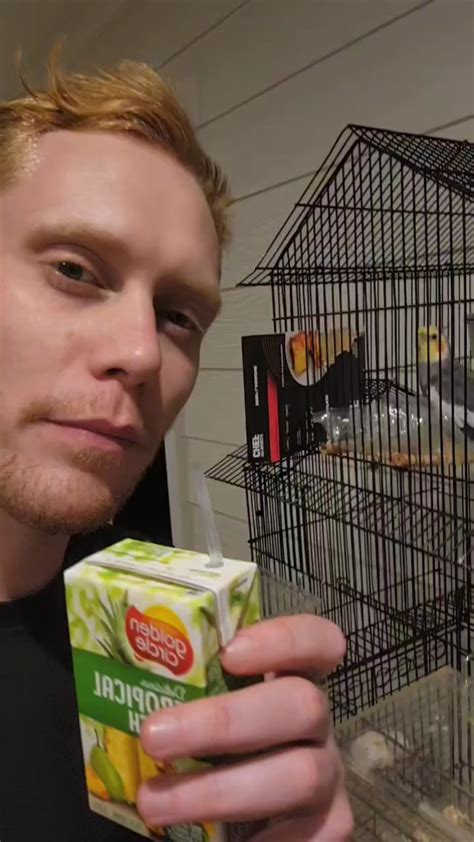 Noise Of Anger 💢 🐦 Rcockatiel