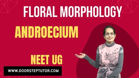 Floral Morphology Androecium Adnate Basifixed Dorsifixed Versatile Inserted Exserted