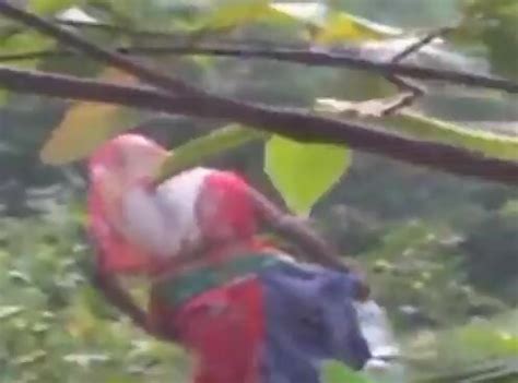 Desi Aunty ThisVid Com