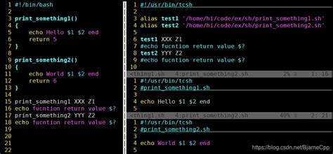 bash 和 tcsh csh 的不同，带例子 tcsh 彩色 csdn博客