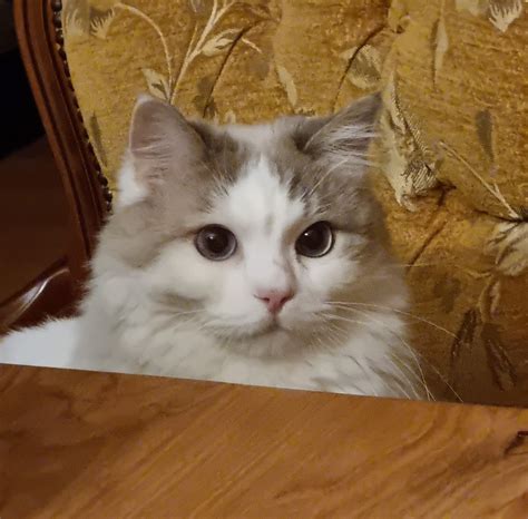 알고리즘 다익스트라dijkstra