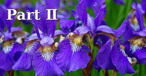 Machine Learning Model Training Step By Step Guide