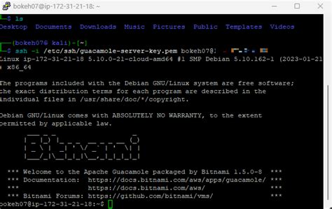 create a reverse ssh tunnel to a bitnami guacamole aws ec2 instance