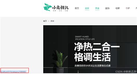 Vue Vue Router Vue3路由获取请求参数vue3 获取路由参数 Csdn博客