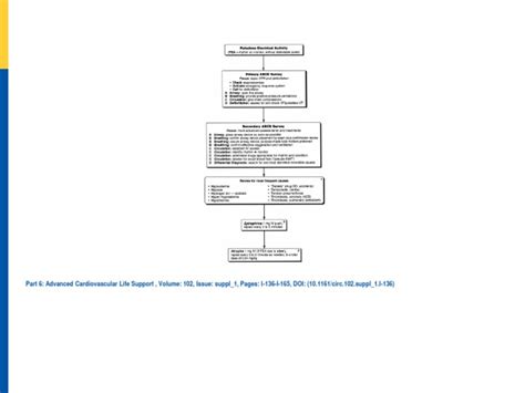 Pulseless Electrical Activity Algorithm Pdf