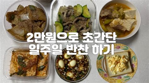 신혼부부 요리vlog I 절약 하기 2만원으로 일주일 초간단 반찬 만들기 집밥브이로그 Youtube