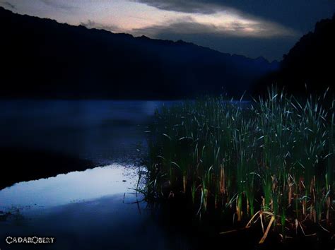 O Plimbare La Strandul Din Codlea Codlea Info