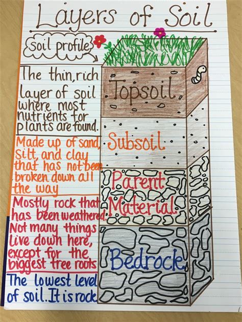 The 25 Best Soil Layers Ideas On Pinterest Types Of Soil 4th Grade Science And Rock Cycle