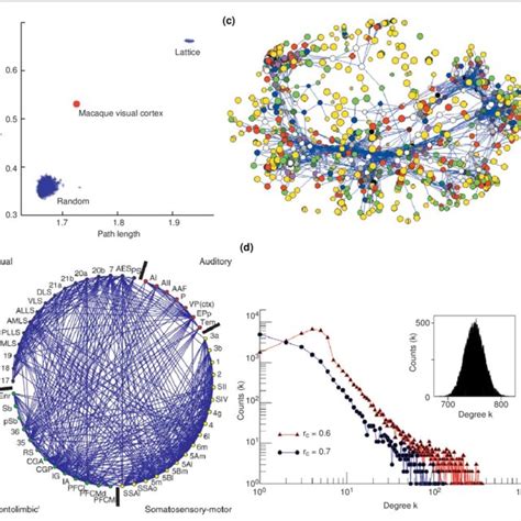 Pdf Organization Development And Function Of Complex Brain Networks