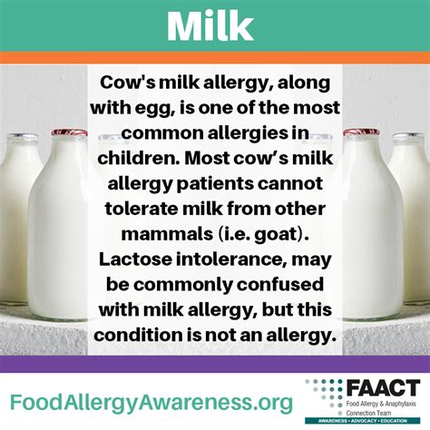 Food Allergy And Anaphylaxis Food Allergens Milk Faact
