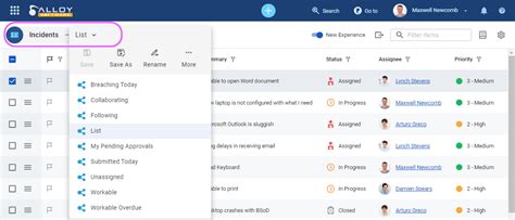 Views Web App Help Alloy Navigator Alloy Software Docs