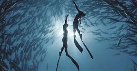 필리핀관광부 겨울에 즐기는 해변 오감만족 보홀로 초대