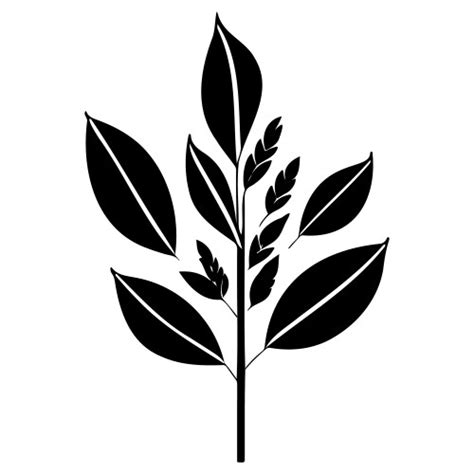 Parallel Leaf Plant Floral Sketch Royalty Free Vector Image
