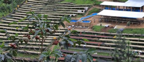 Rwanda Nyamasheke Gitwe