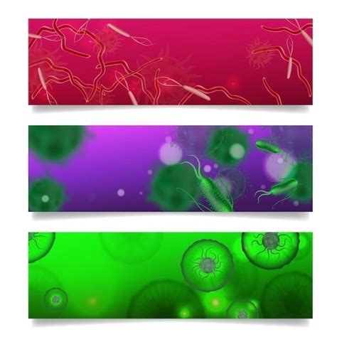 Janeway Immunobiology Pdf Master Immunitys Secrets