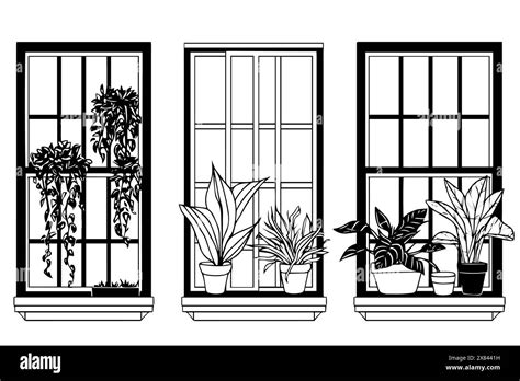 Hand Drawn Window Sketch Vintage Vector Illustration Of An Close Frame