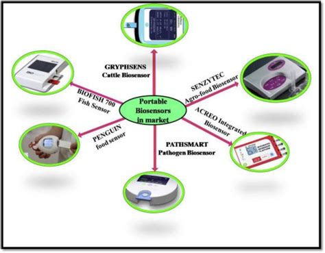 Recent Developments And Their Future Prospects Of Biosensors To Address