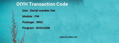 Oiyh Sap Tcode For Serial Number List